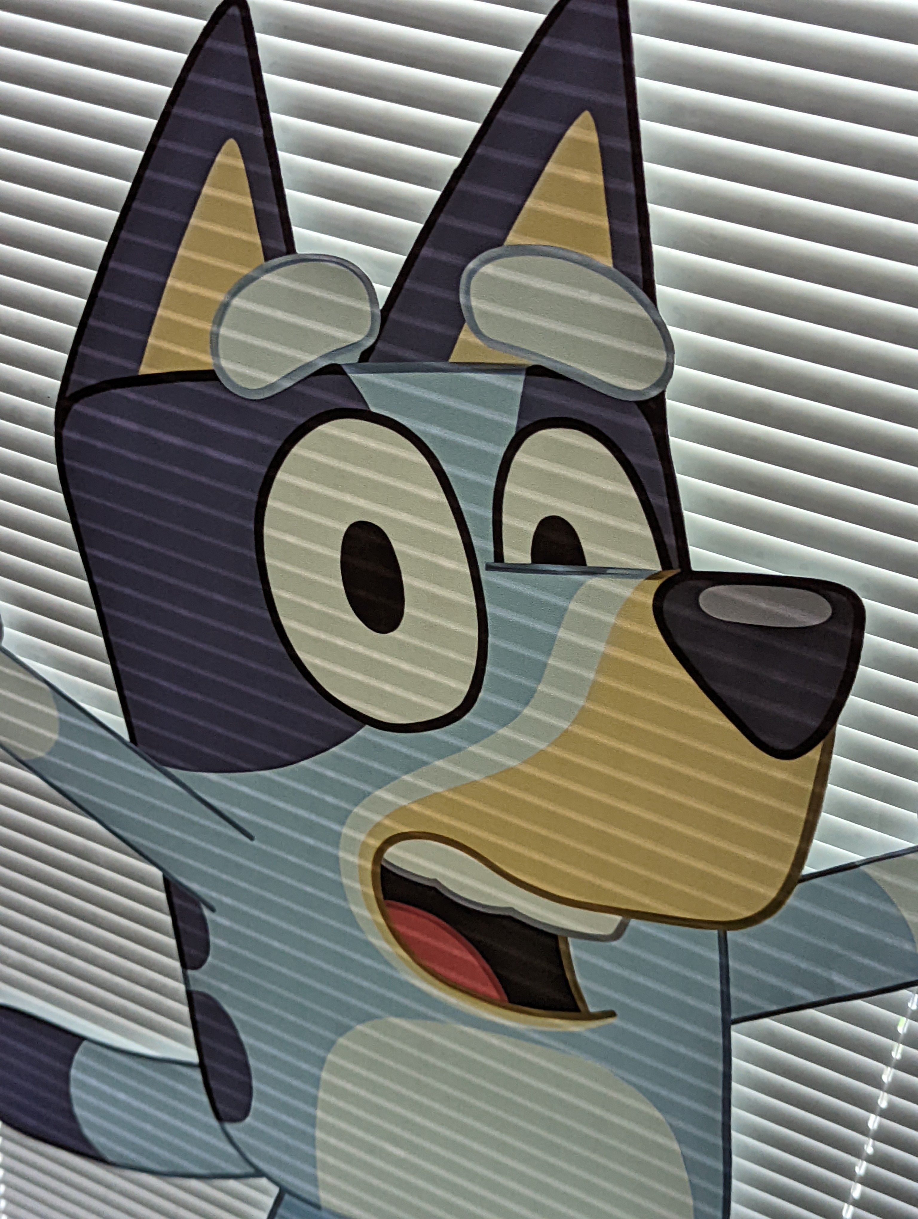 Bluey & Bingo Heeler Window Cling Sticker - repositionable - Chilli ...